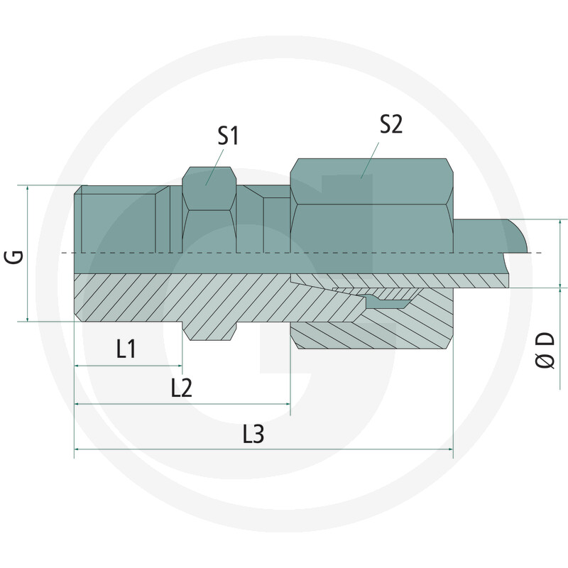 Straight screw-in fittings with tapered thread buy online